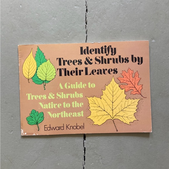 Other | 1972 Identify Trees Shrubs By Their Leaves Tree Identification ...